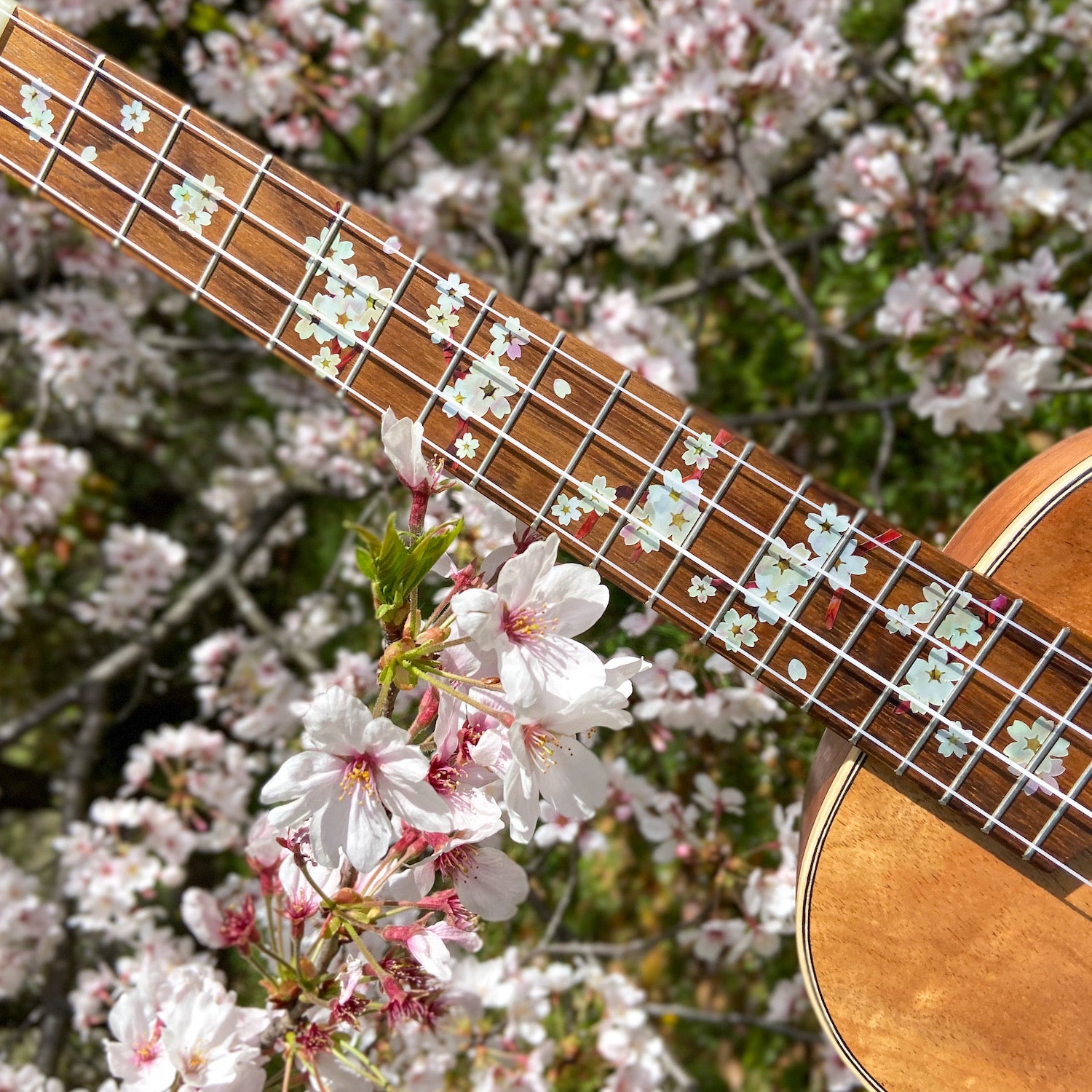 Cherry Blossom / Sakura - Fret Markers for Ukuleles – Inlay Stickers ...